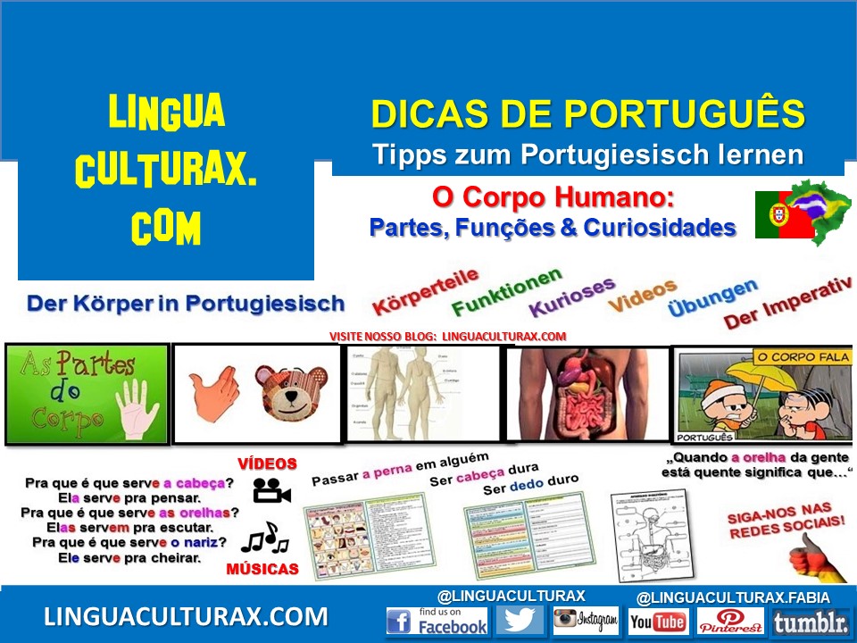 As PARTES DO CORPO em Português: Nomes, Funções, Expressões Idiomáticas ...